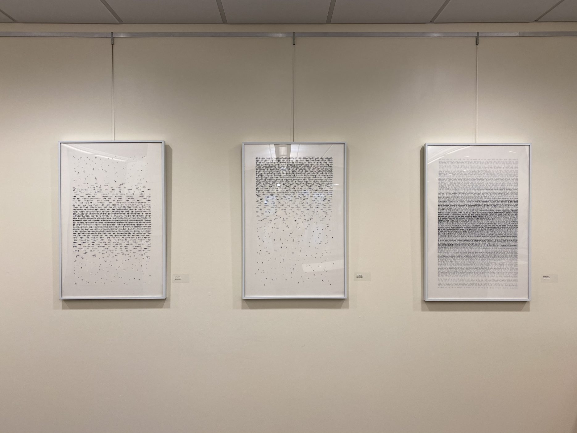 Kate Fitzpatrick: Echo Impressions – Fenwick Gallery